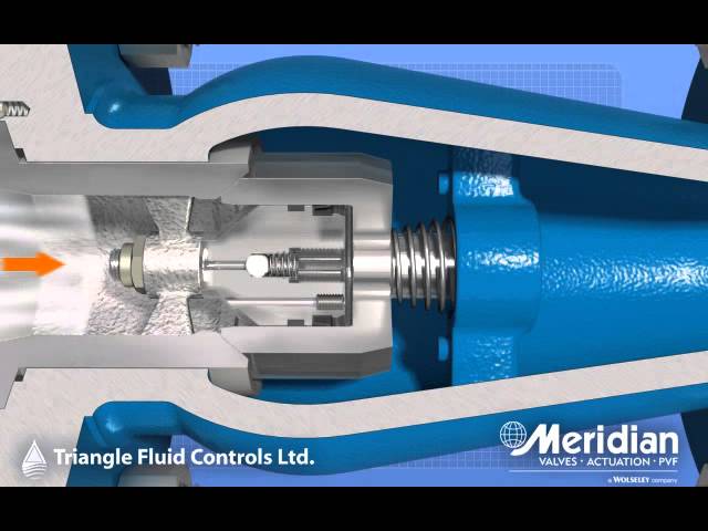 Check Valves for Reciprocating Compressors - Empowering Pumps and Equipment