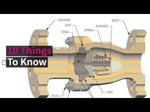 10 Things to Know About Check Valves - Empowering Pumps and Equipment