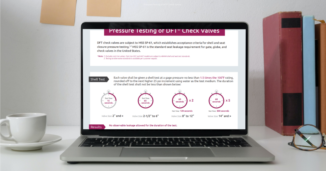 Pressure Testing of DFT® Check Valves [Infographic] - Empowering Pumps ...