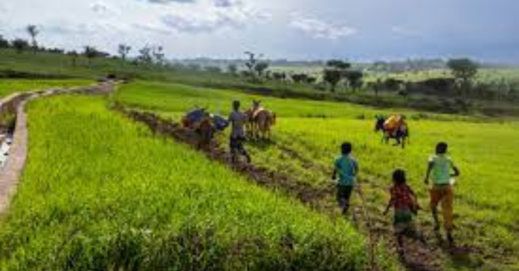 Sustainable Development Begins For Ethiopian Farmers - Empowering Pumps ...