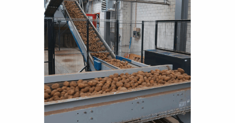 Preserving Product Integrity: Hidrostal's Damage-Free Pumping for ...