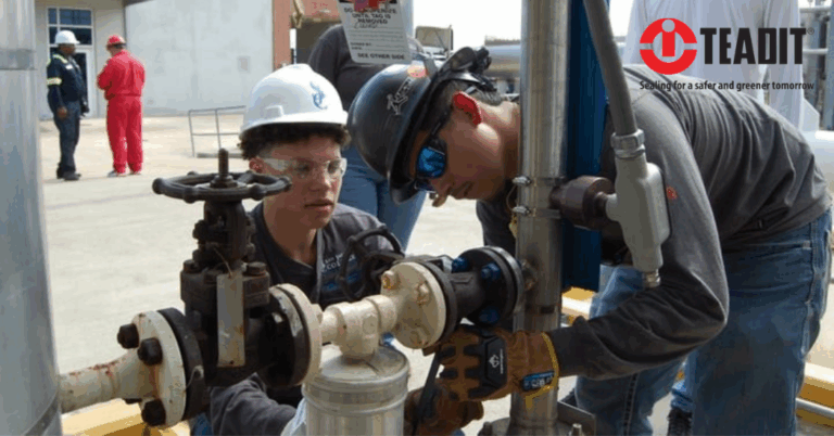 How to Effectively Seal Chemical Applications with Challenging Flanges ...